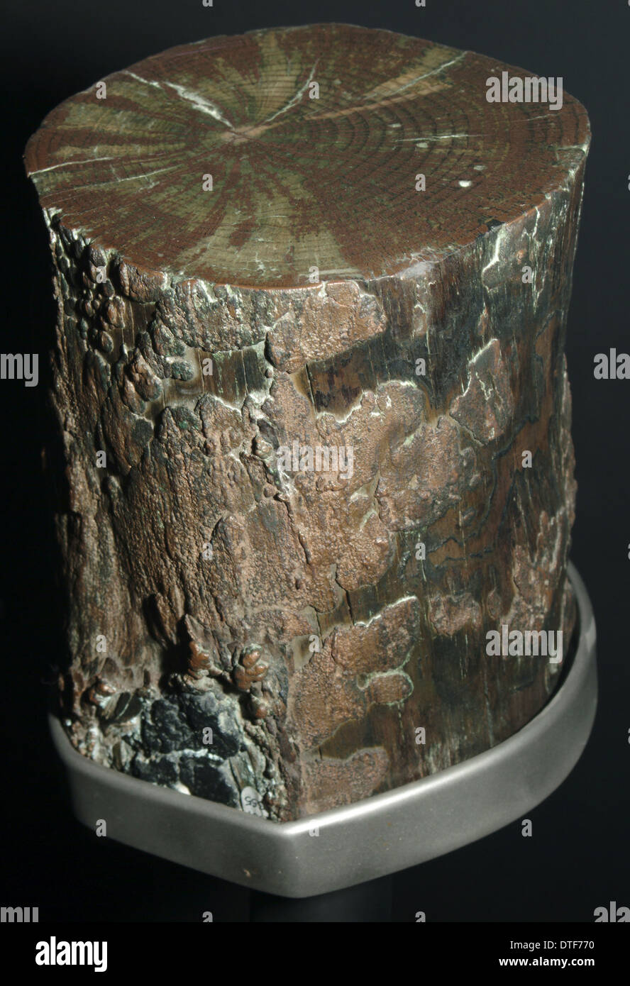 Metal and mineral hi-res stock photography and images - Alamy