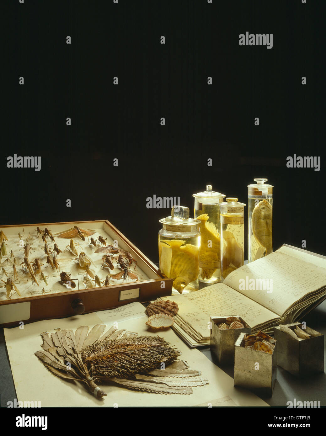 Specimen sheet hi-res stock photography and images - Alamy
