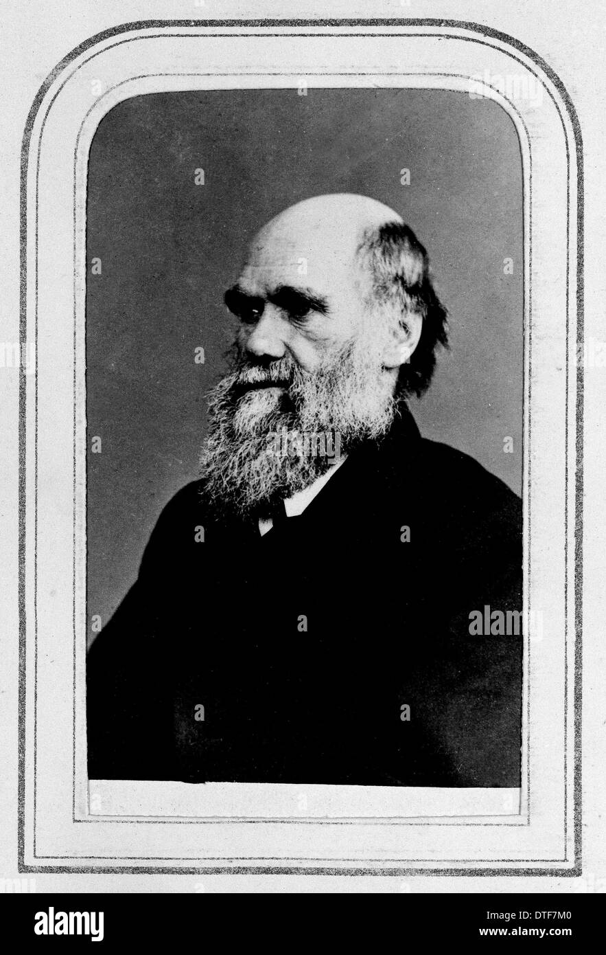 Charles Darwin Evolution Of Man High Resolution Stock Photography and ...