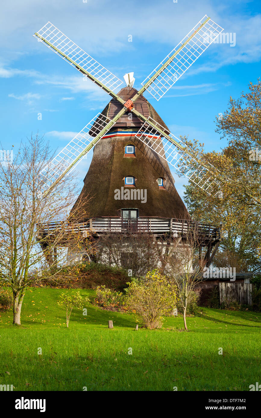 Traditional wooden windmill in a lush garden with four sails or blades ...