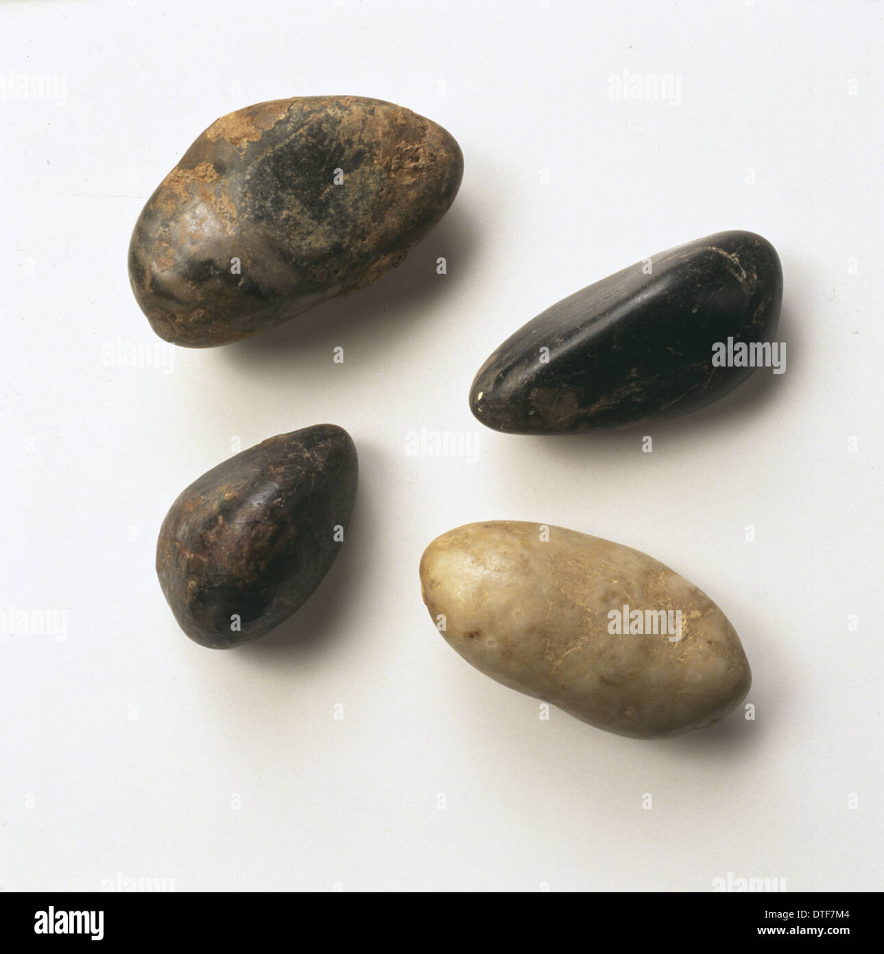 Gastroliths, dinosaur stomach stones Stock Photo - Alamy