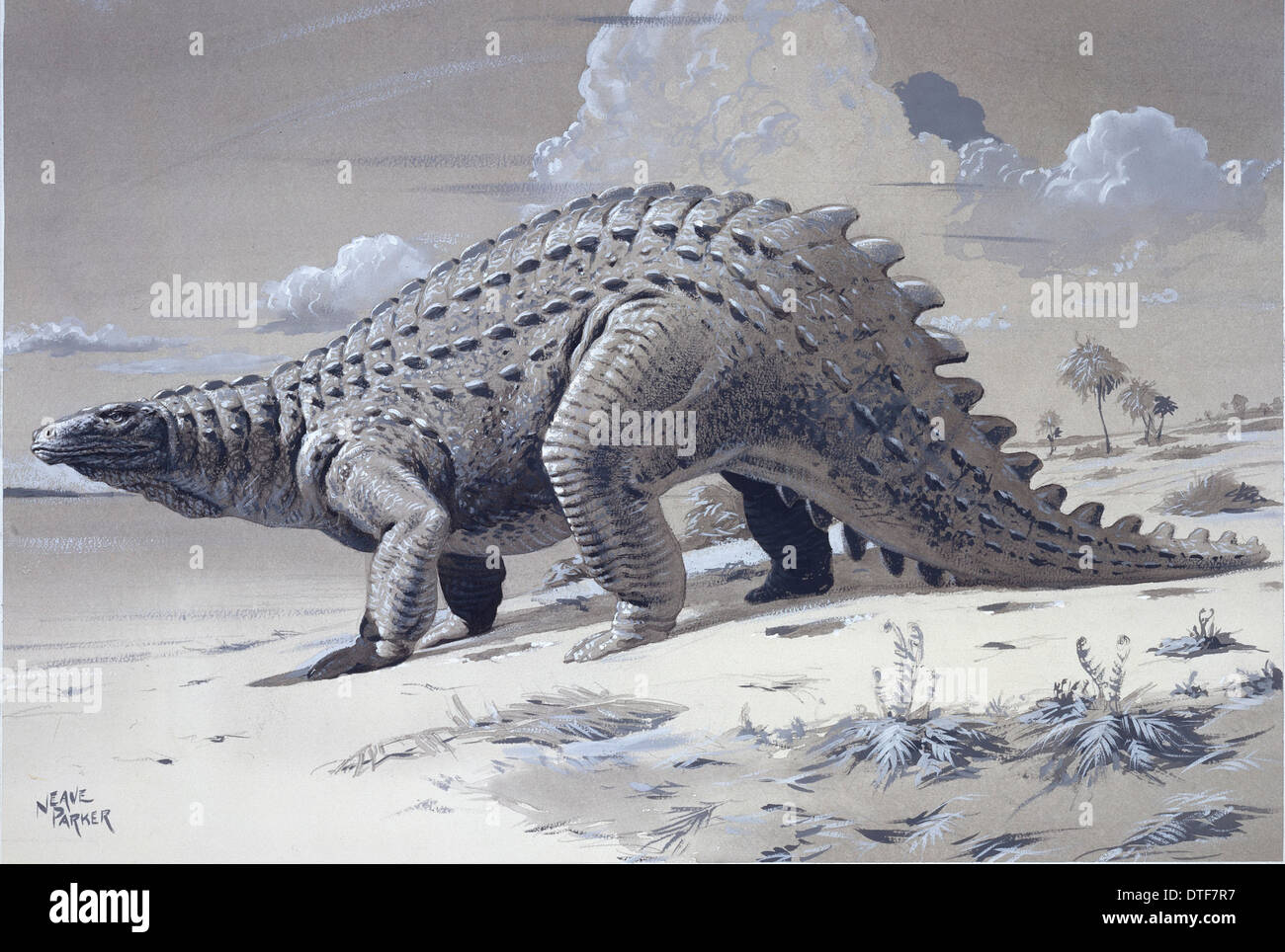 Scelidosaurus hi-res stock photography and images - Alamy