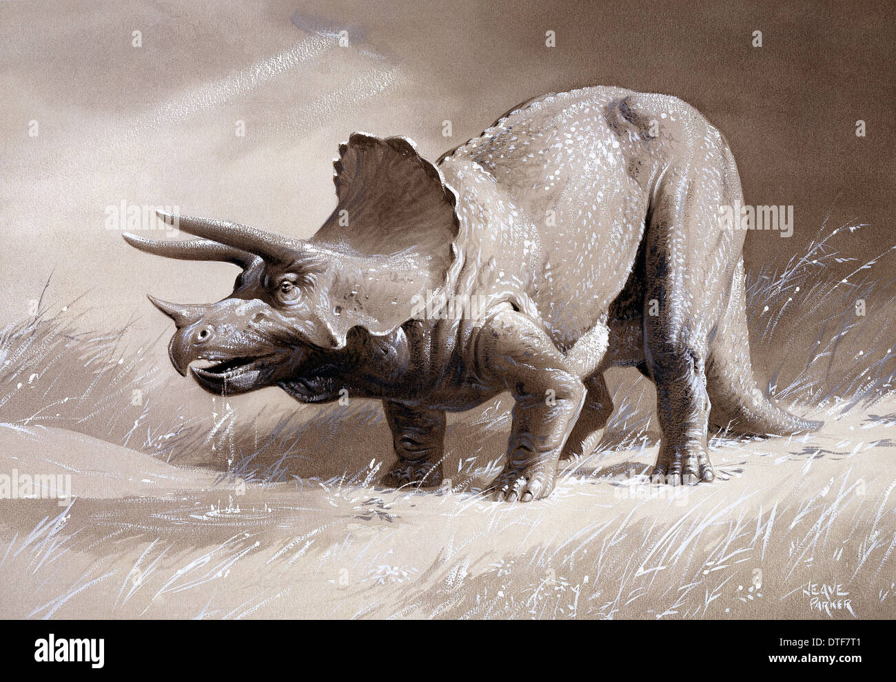 Triceratops habitat hi-res stock photography and images - Alamy