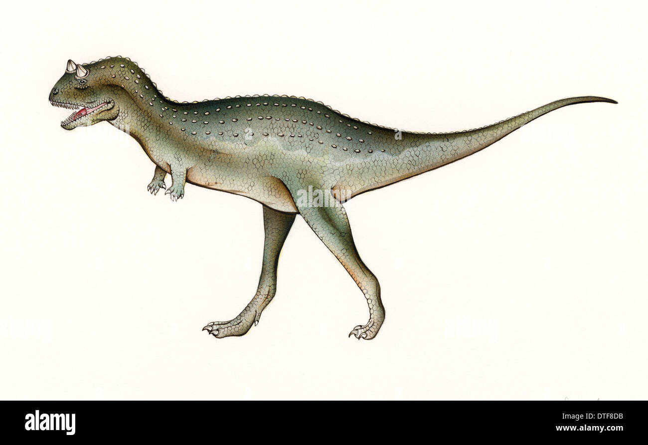 Carnotaurus hi-res stock photography and images - Alamy