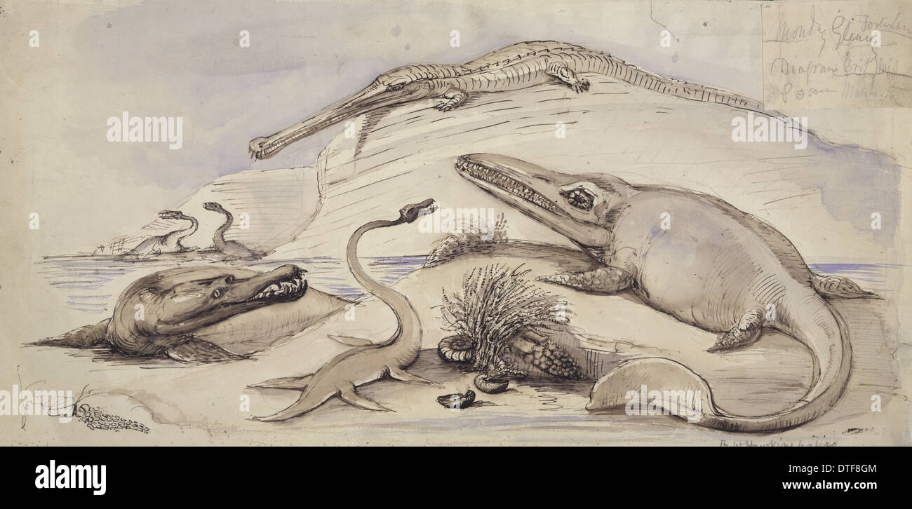 Ichthyosaurus, Plesiosaurus, Stenosaurus and another marine reptiles ...