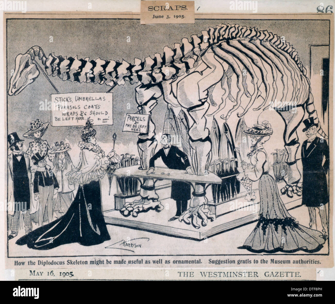 Cartoon illustration diplodocus dinosaur hi-res stock photography and ...