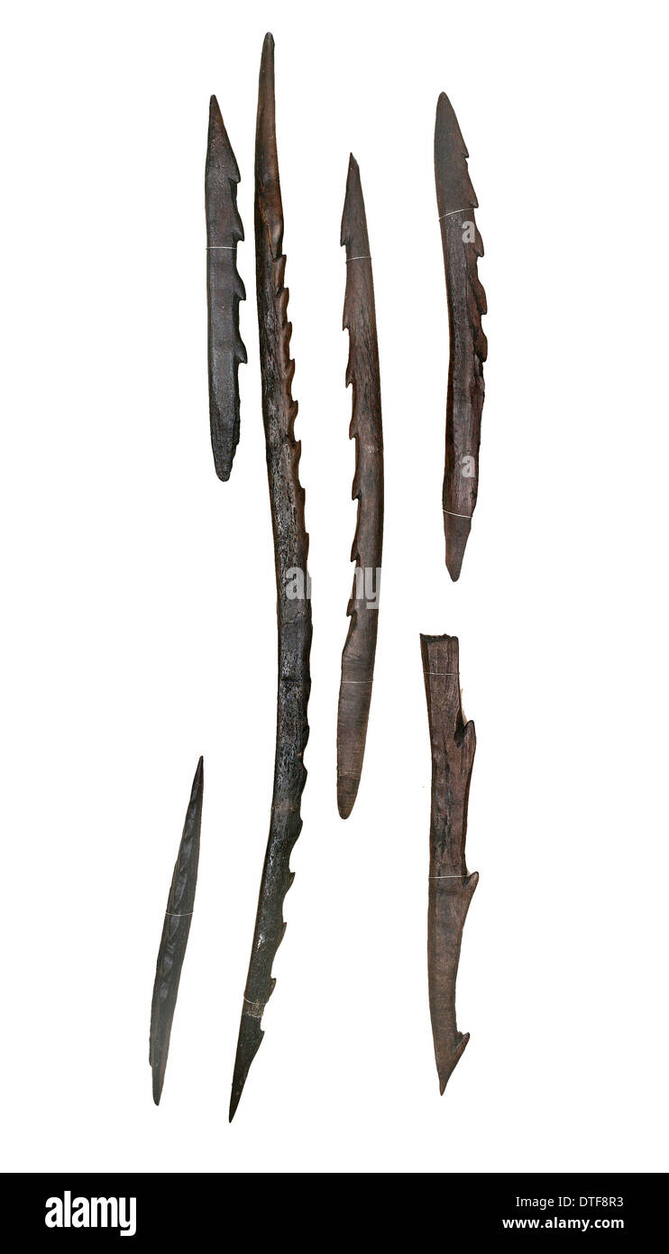 Prehistoric barbed point hi-res stock photography and images - Alamy