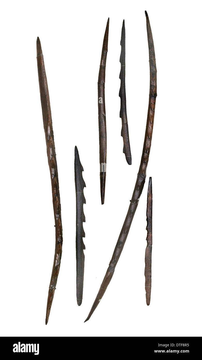 Prehistoric barbed point hi-res stock photography and images - Alamy