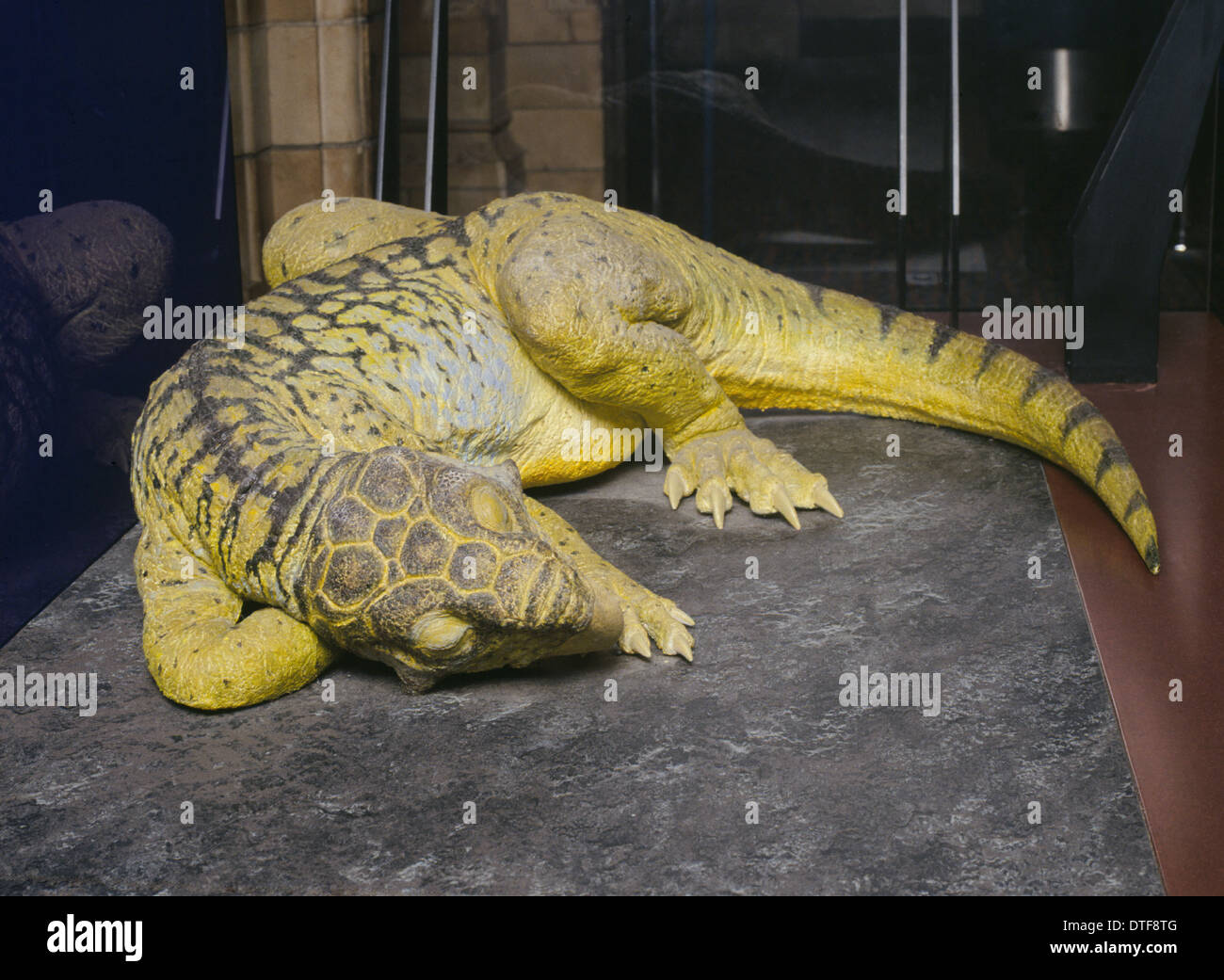 Early Cretaceous Period Of Mongolia High Resolution Stock Photography ...