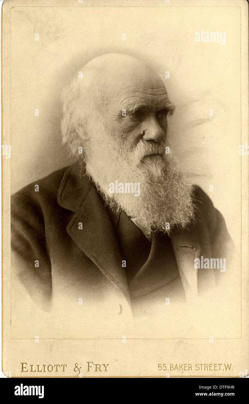 Charles Robert Darwin (1809-1881 Stock Photo - Alamy