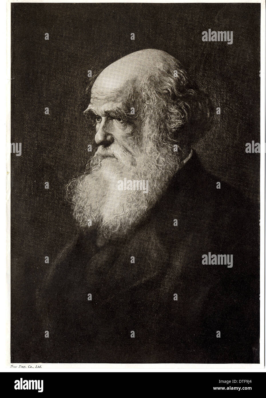 Charles Robert Darwin (1809-1881 Stock Photo - Alamy