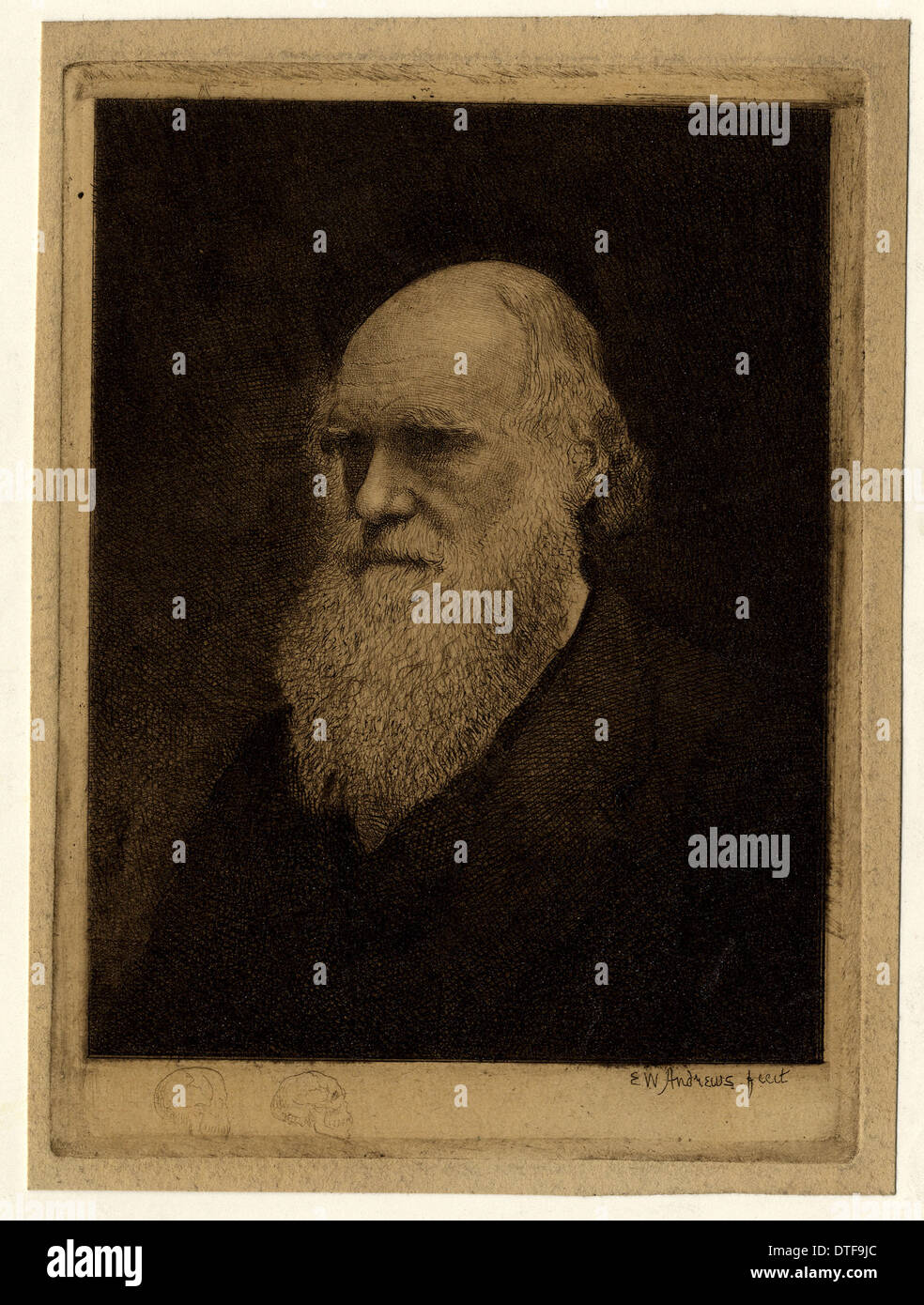 Charles Robert Darwin (1809-1881 Stock Photo - Alamy