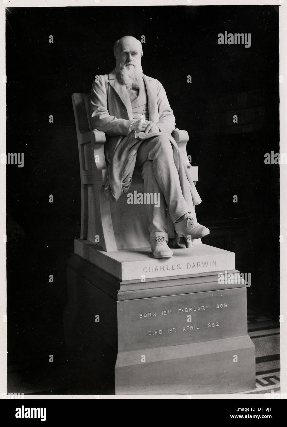 Charles Robert Darwin (1809-1882 Stock Photo - Alamy