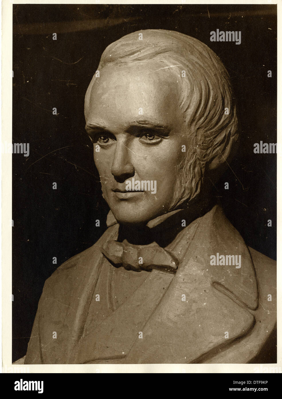 Charles Robert Darwin (1809-1881 Stock Photo - Alamy