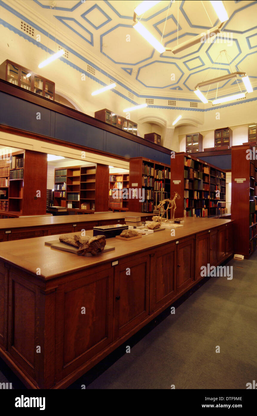 Library special collections room hi-res stock photography and images ...
