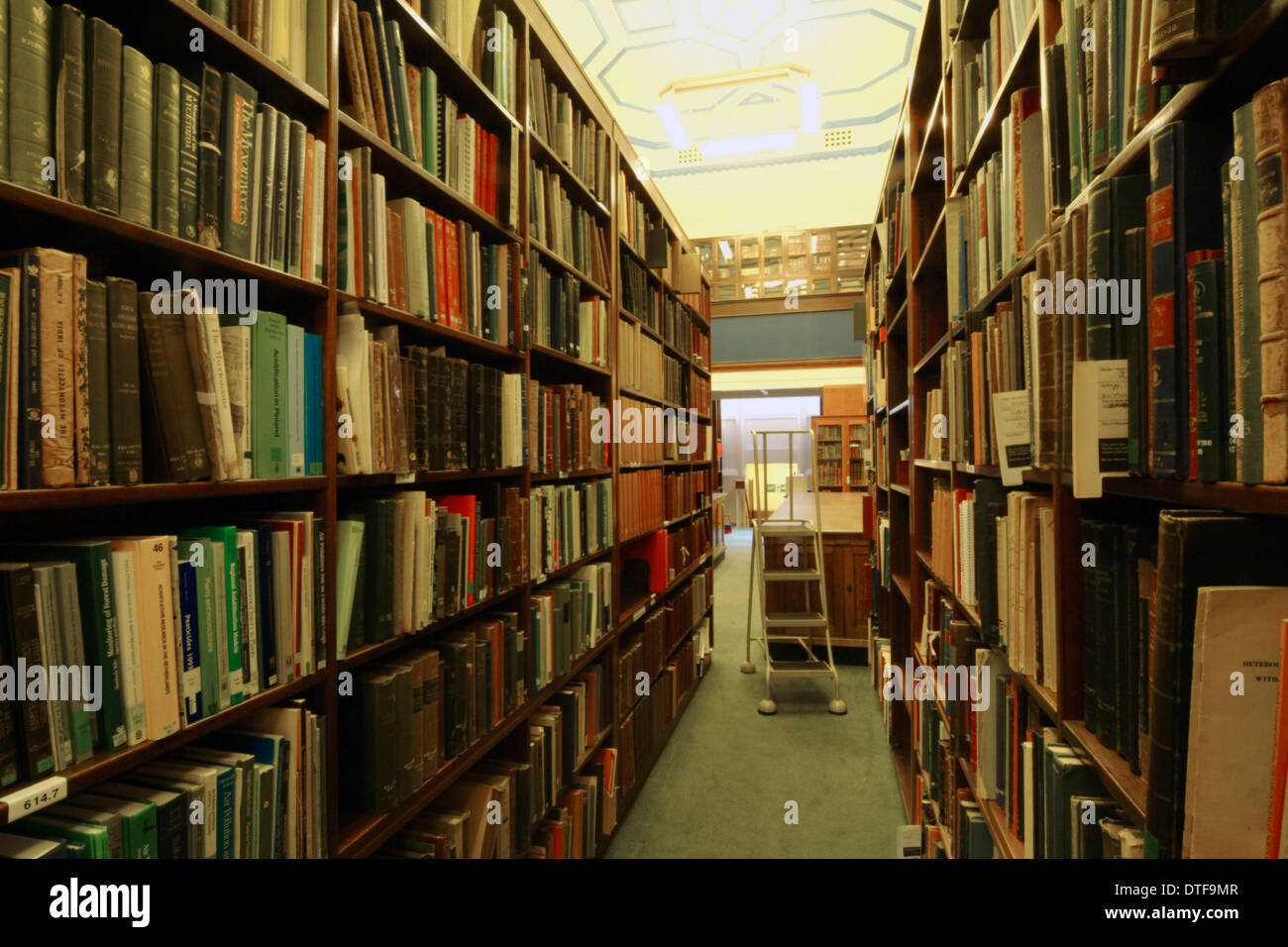 The Botany Library Special Collections Room Stock Photo - Alamy