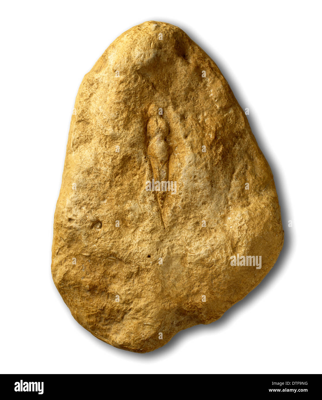 Symbol of venus hi-res stock photography and images - Alamy