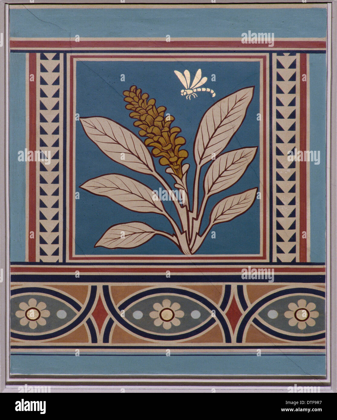 Curcuma curcuma sp hi-res stock photography and images - Alamy