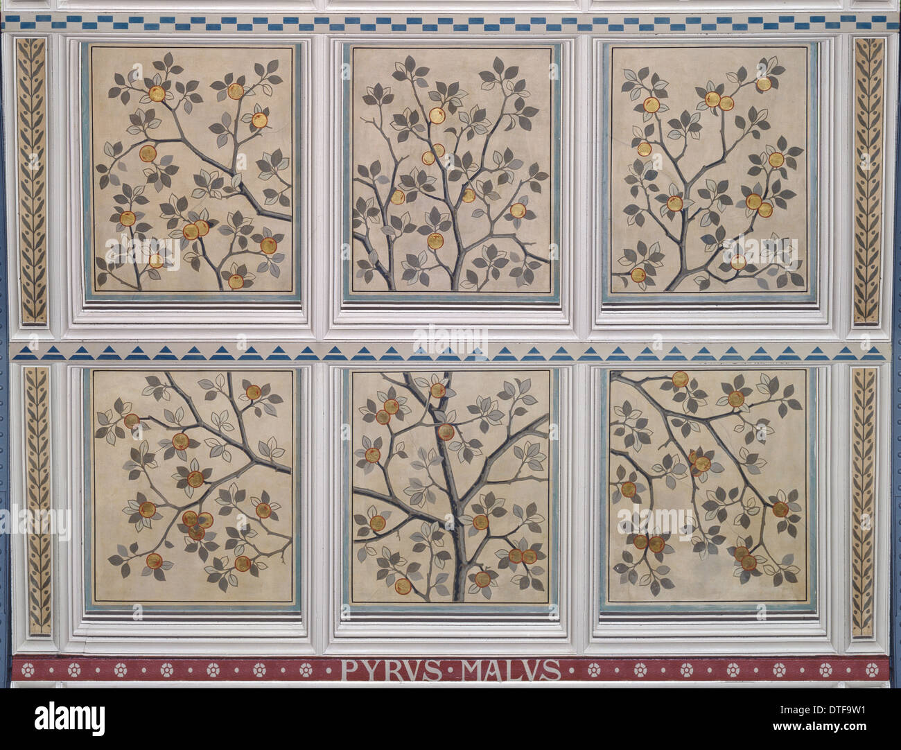 Pyrus malus, apple Stock Photo - Alamy