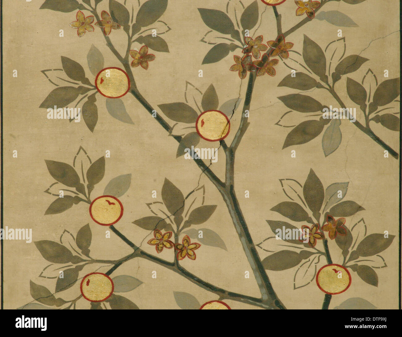 Citrus aurantium, bitter orange Stock Photo - Alamy