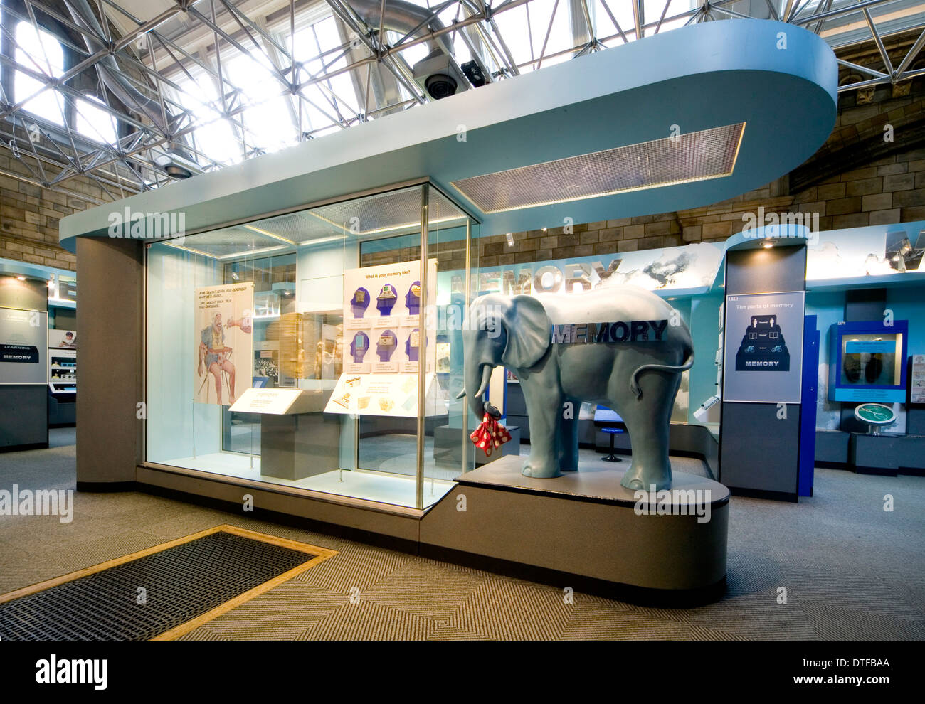 Human Biology Gallery Stock Photo - Alamy