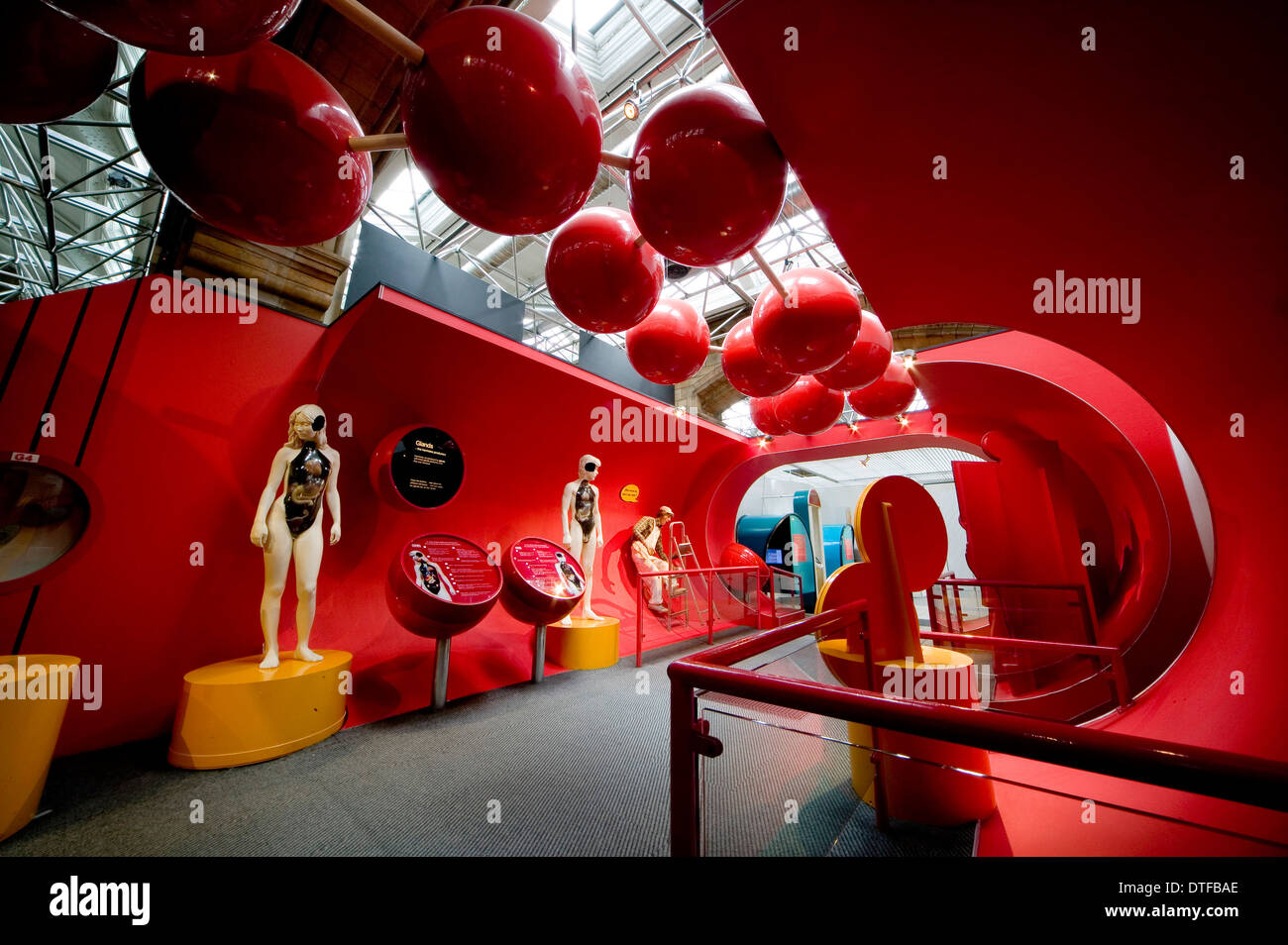 Human Biology Gallery Stock Photo - Alamy