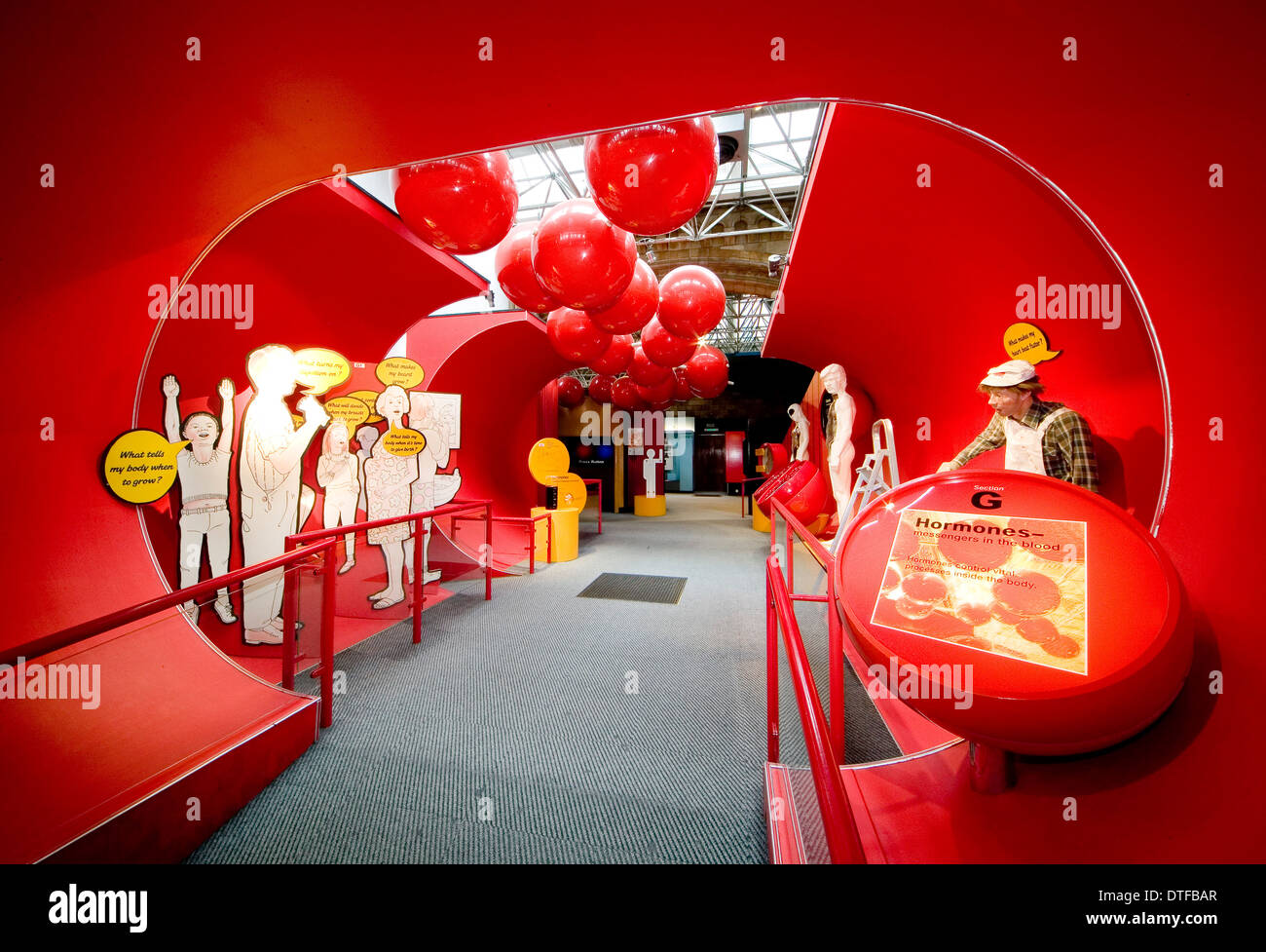 Human Biology Gallery Stock Photo - Alamy