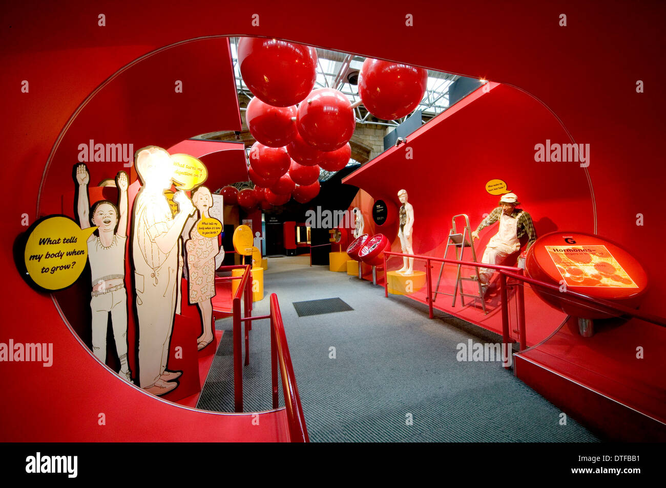 Human Biology Gallery Stock Photo - Alamy
