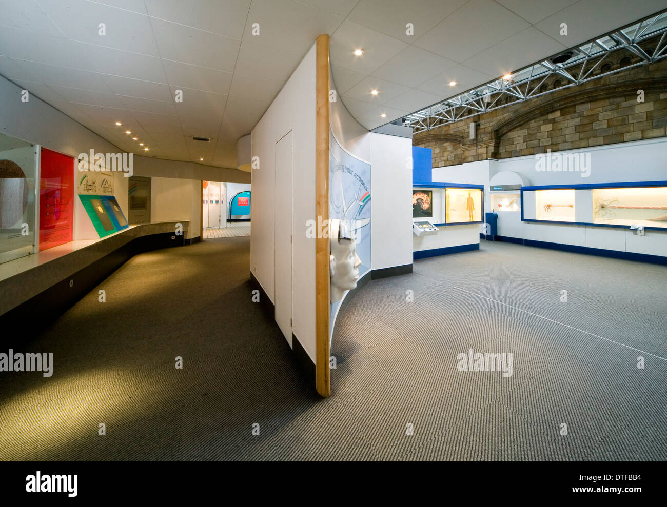 Human Biology Gallery Stock Photo - Alamy