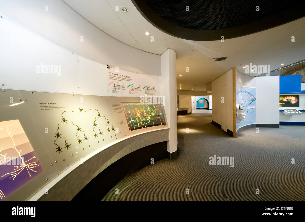 Human Biology Gallery Stock Photo - Alamy
