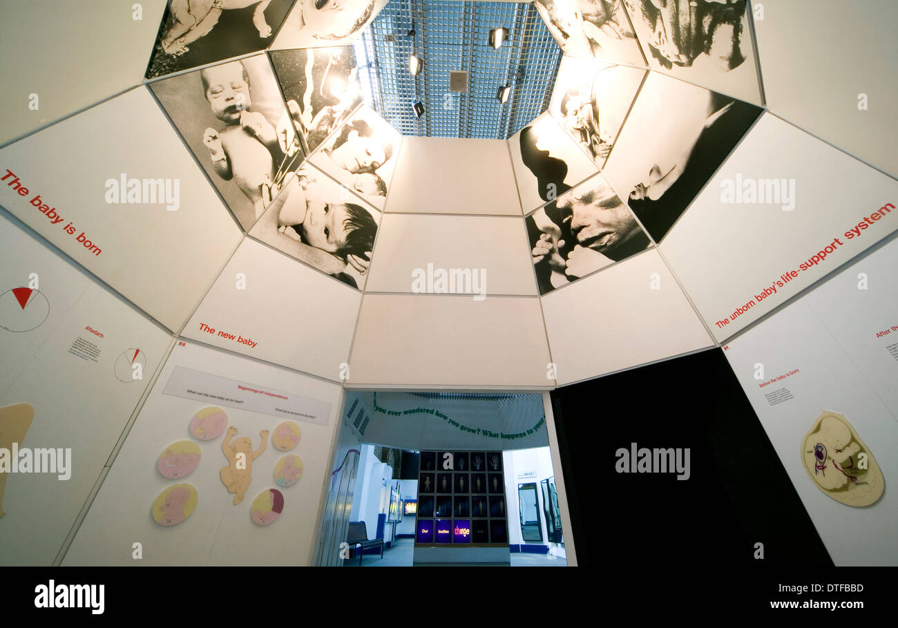 Human Biology Gallery Stock Photo - Alamy
