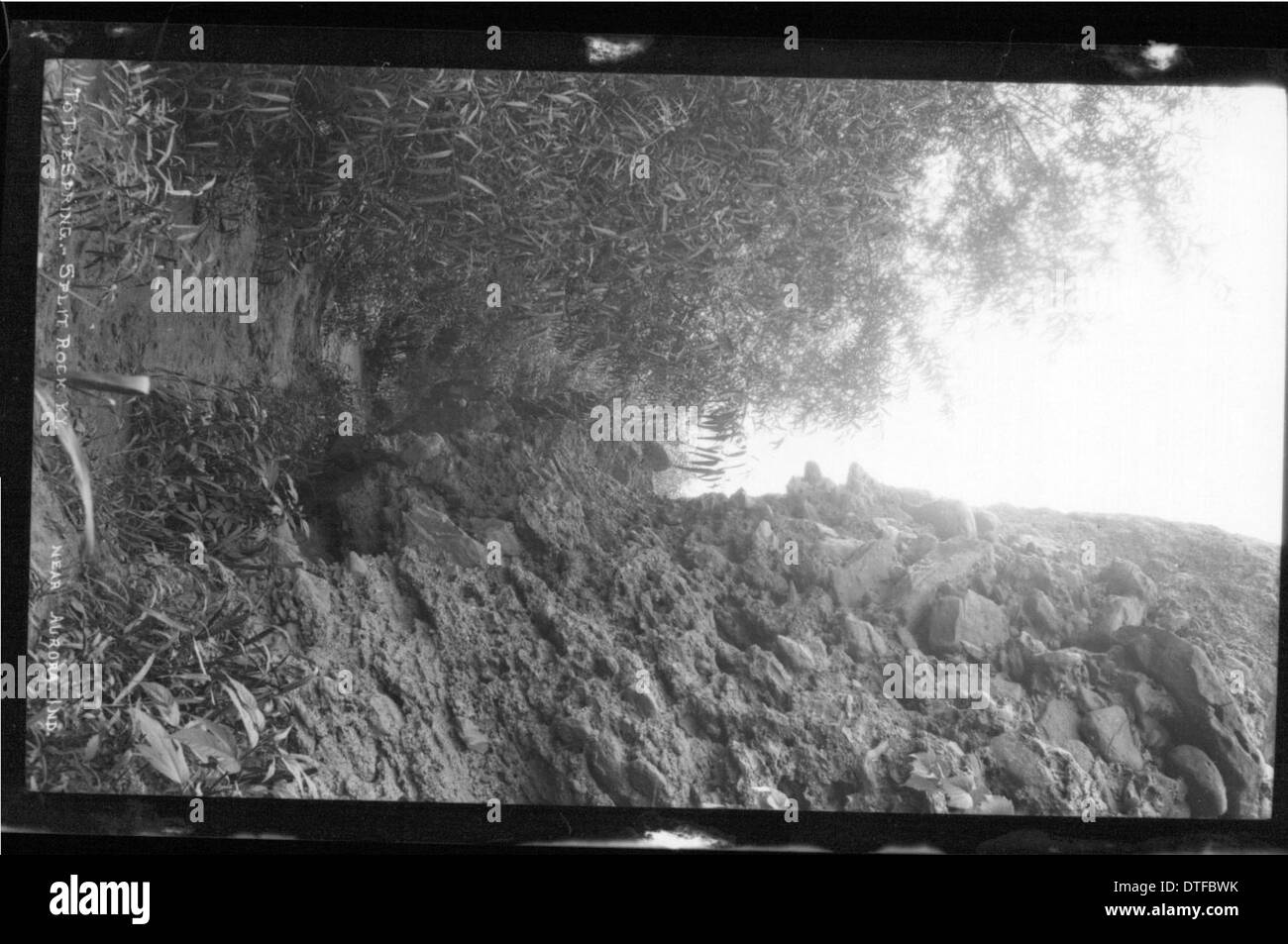 Springs in nature Black and White Stock Photos & Images - Alamy