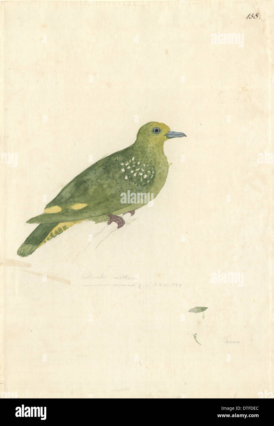 George dove hi-res stock photography and images - Alamy