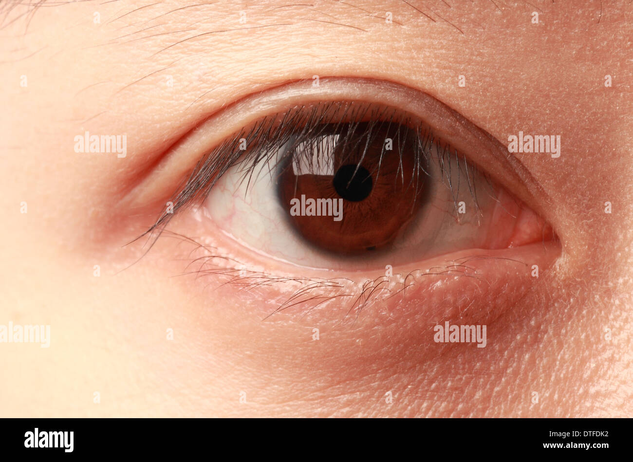 Closeup view of an asian female eye Stock Photo - Alamy