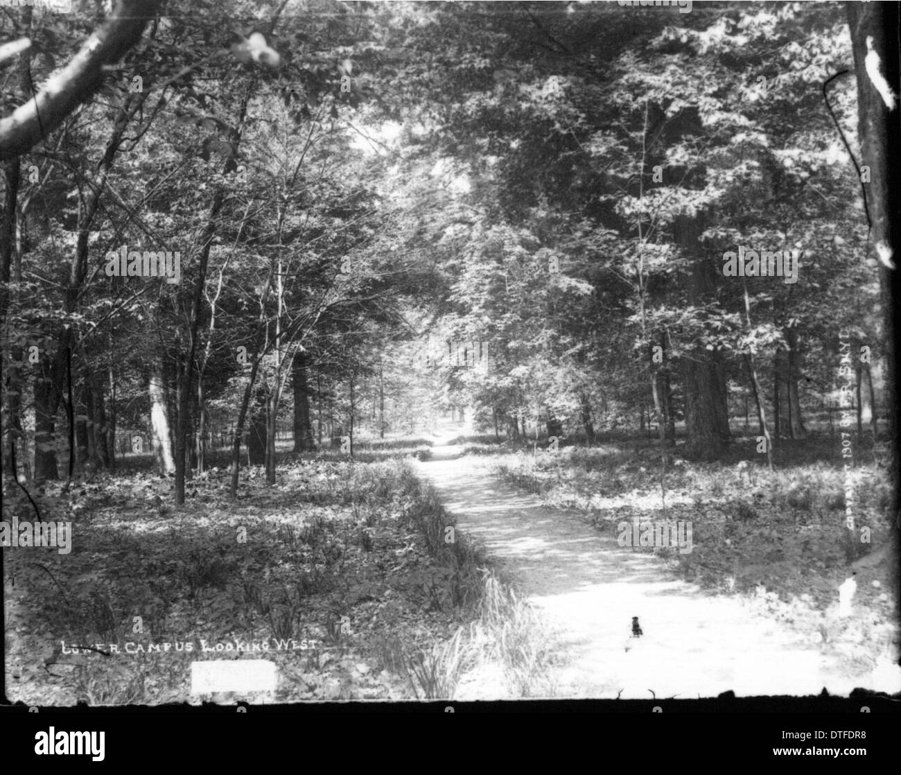 Scenic walkways Black and White Stock Photos & Images - Alamy