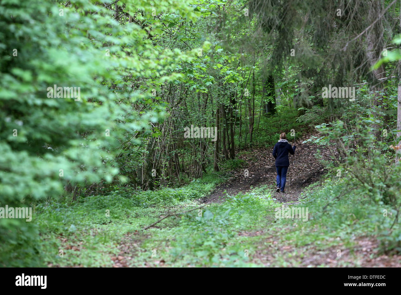 Exploring germany hi-res stock photography and images - Alamy