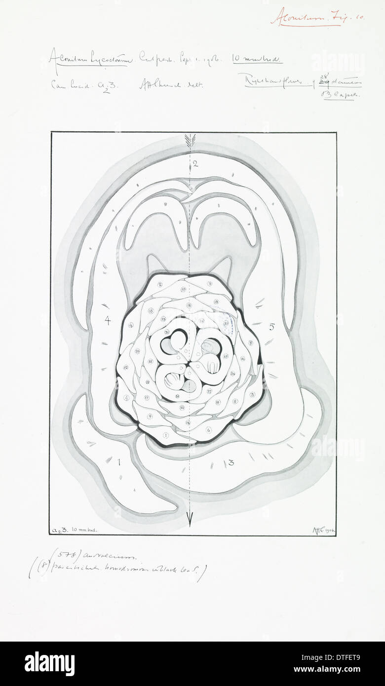 Arthur harry church Cut Out Stock Images & Pictures - Alamy