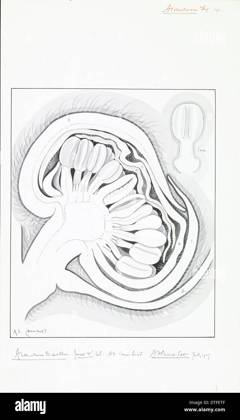 Arthur church hi-res stock photography and images - Alamy