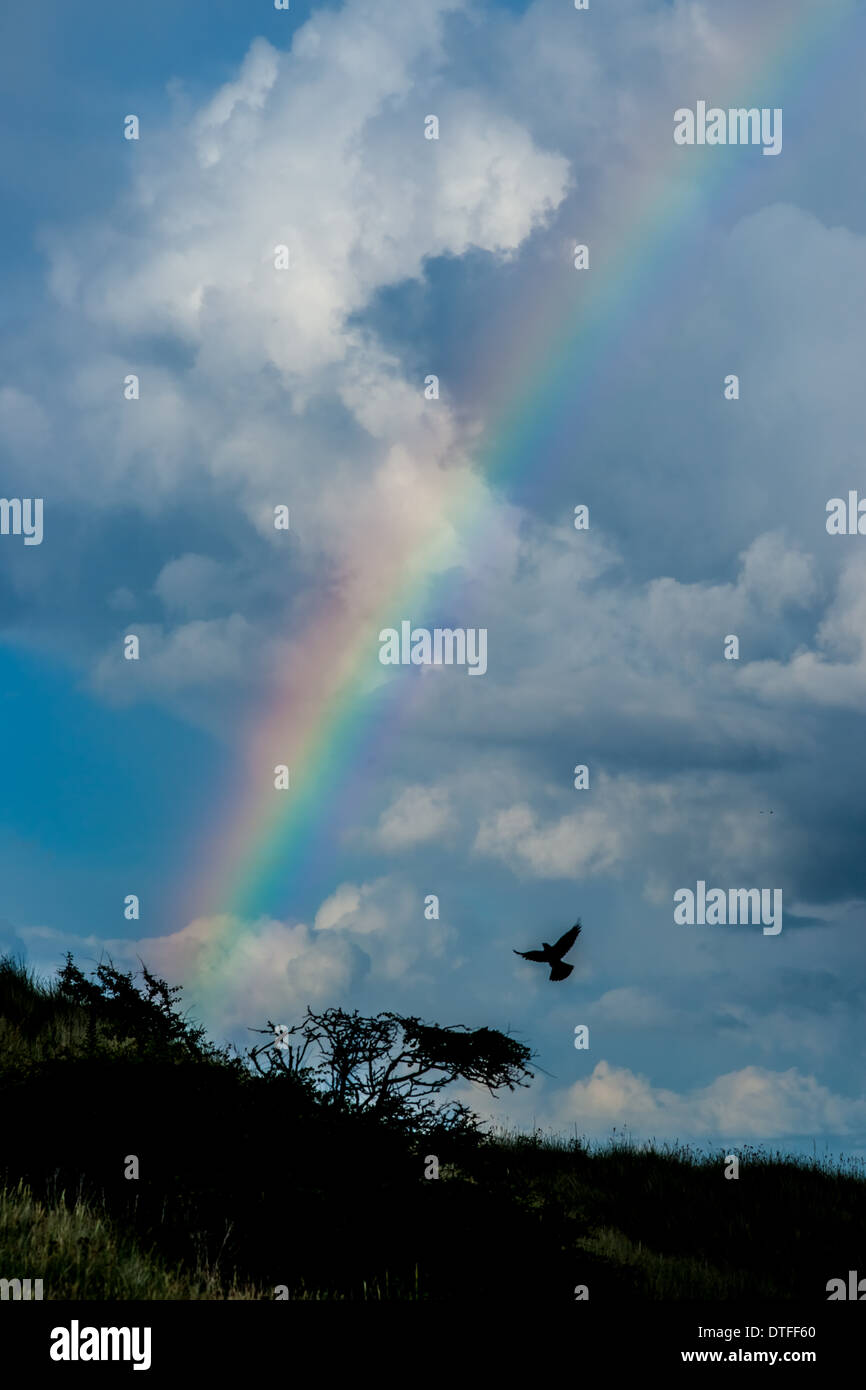 Rainbow beam of light hi-res stock photography and images - Alamy