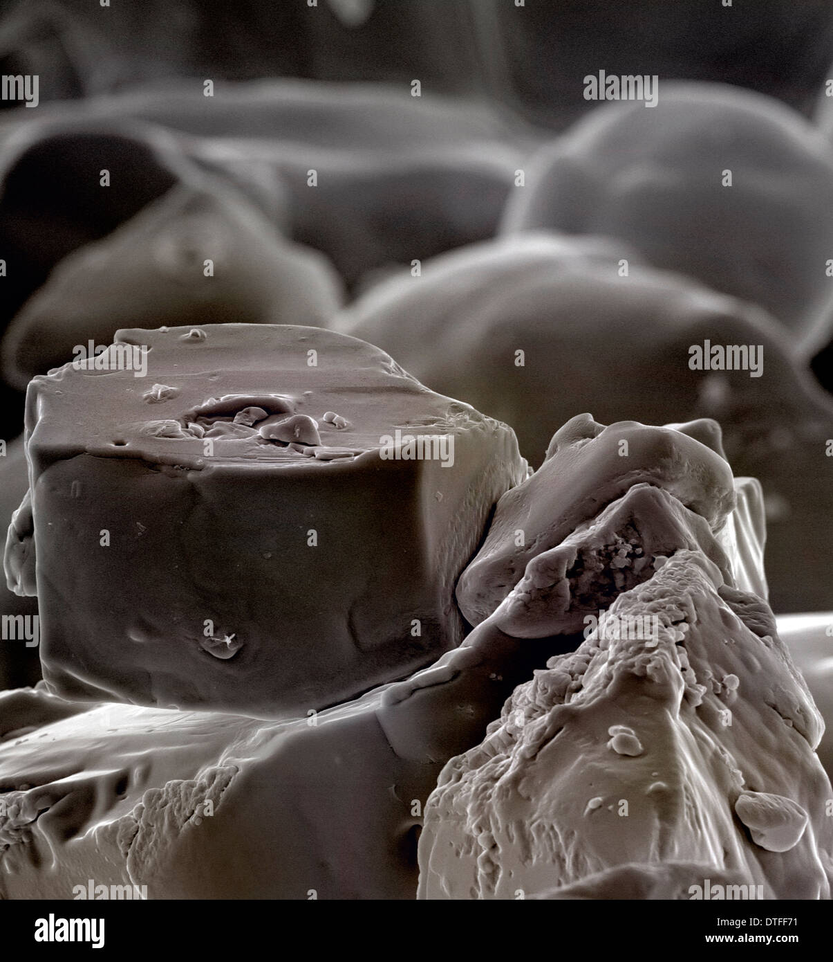 Salt microscope hi-res stock photography and images - Alamy