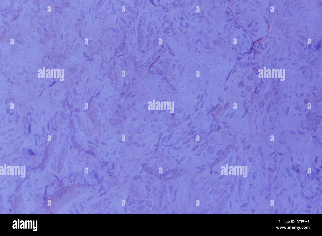 purple stone texture, color wall marble background Stock Photo - Alamy