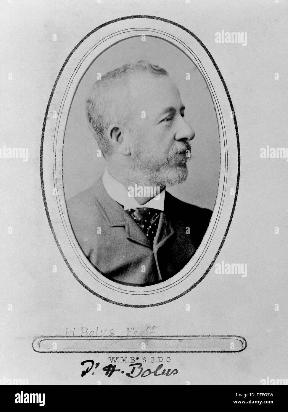 Dr H. Bolus Stock Photo - Alamy