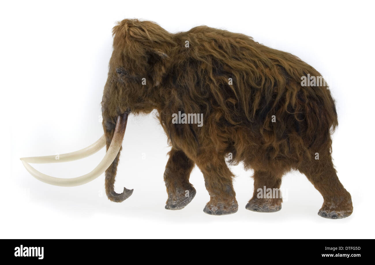 Model uk Cut Out Stock Images & Pictures - Alamy