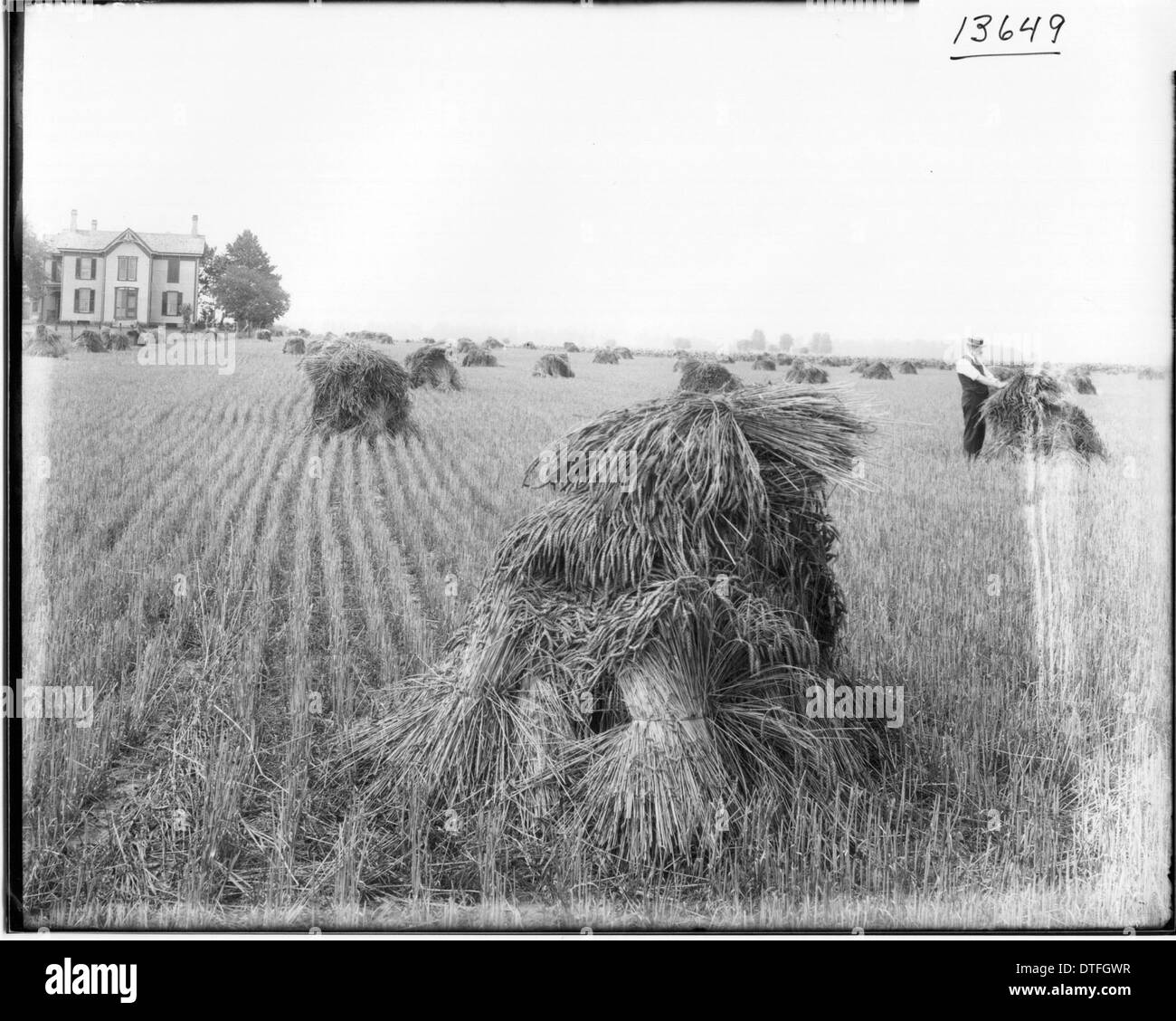 This 1914 photograph of Dare Farm in Oxford, Ohio, captures a wheat ...
