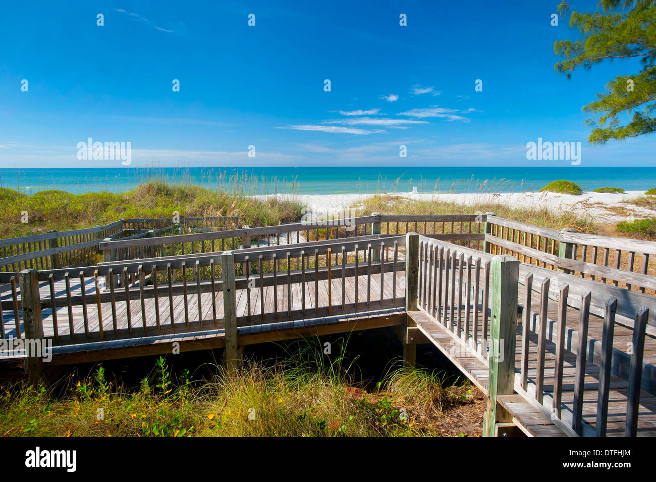 USA Florida Sarasota FL Longboat Key a beach walk across protected ...