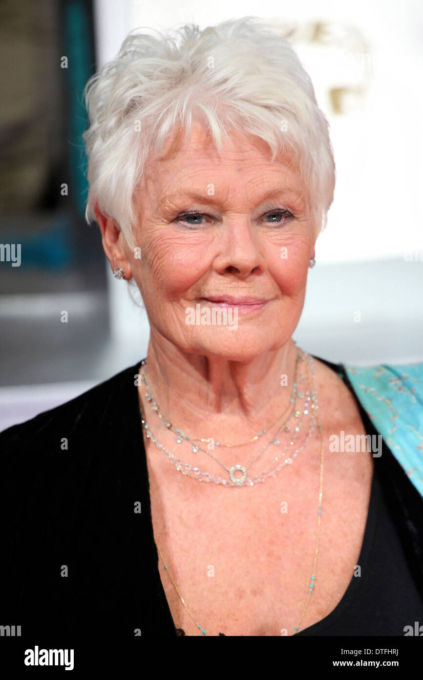 London, UK. 16th Feb 2014. Judi Dench attending the 67th British ...