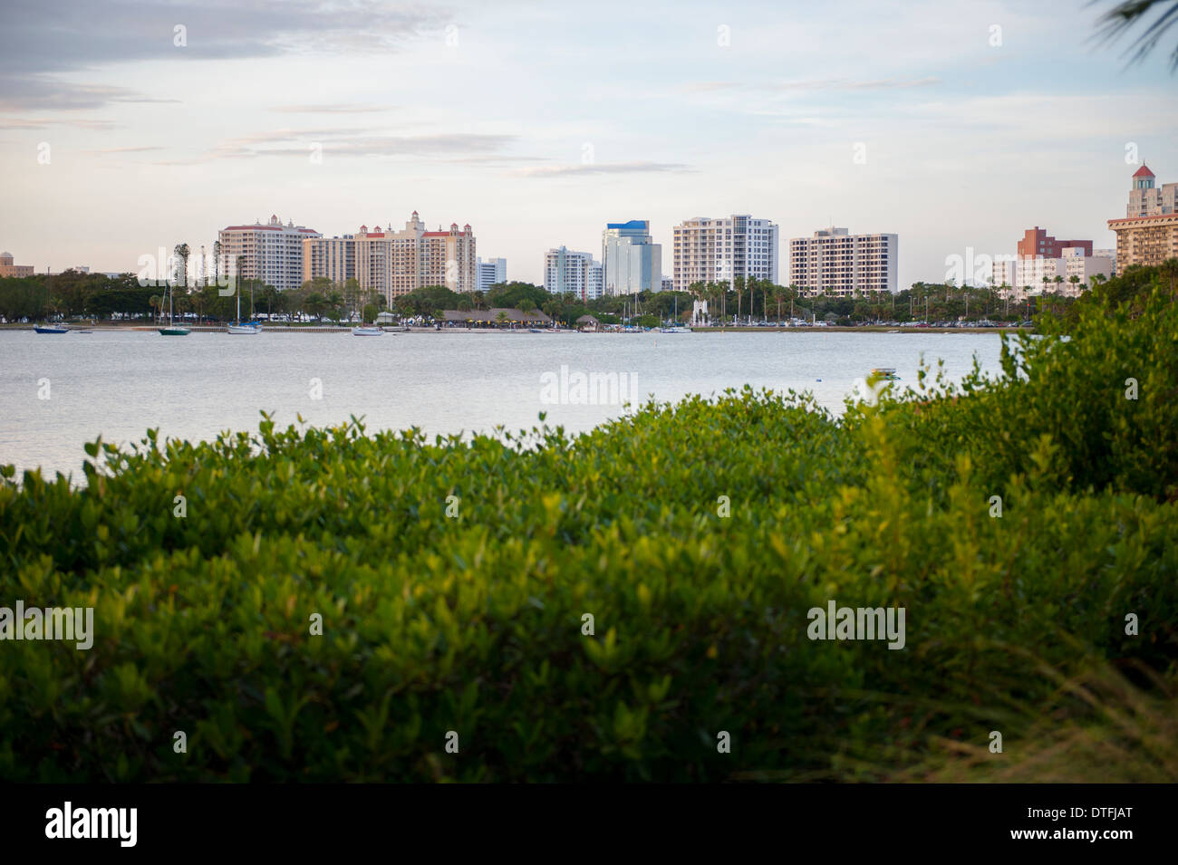 USA Florida Sarasota FL skyline on Sarasota Bay high rise condos ...