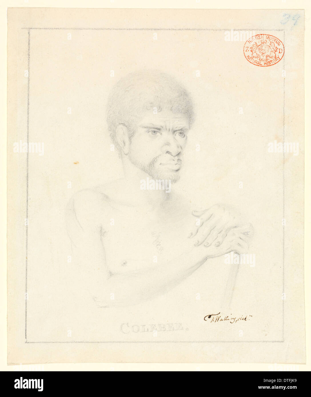 Portrait of an Aboriginal man named Colebee Stock Photo - Alamy