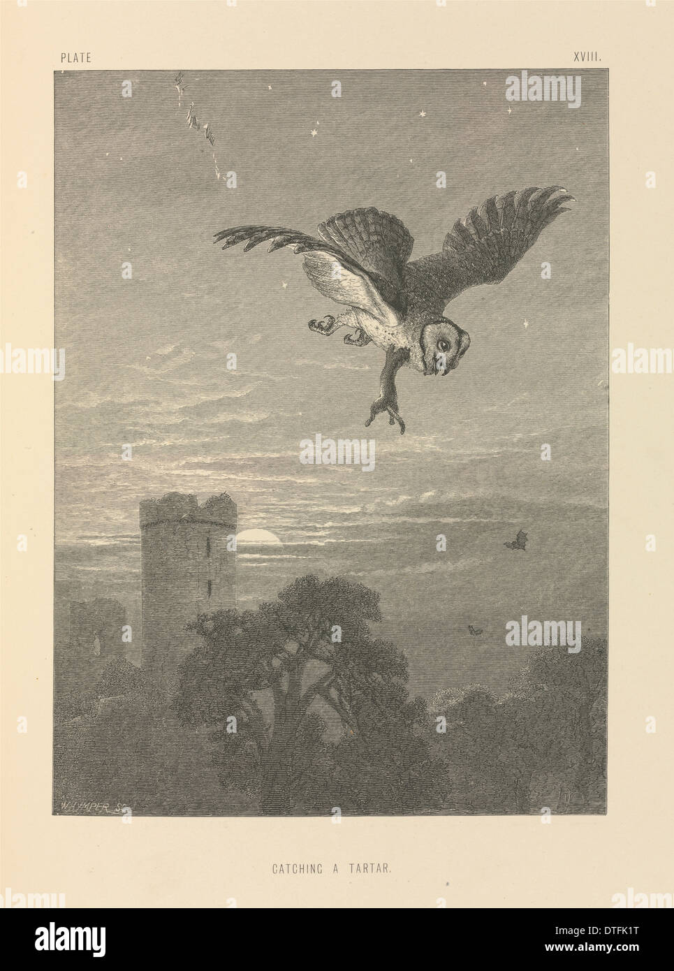 Catching A Tartar Stock Photo - Alamy