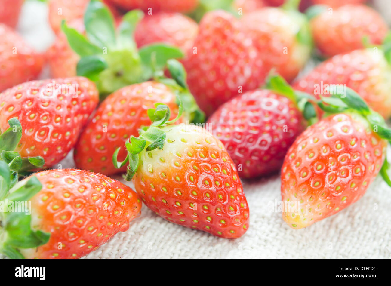 The fruit is ripe hi-res stock photography and images - Alamy